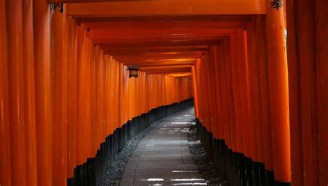日本旅行这4个神社不同寻常鸟居是特色一定要去一次 平安神宫 明治神宫 鸟 新浪新闻