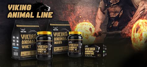 About Us Viking Force