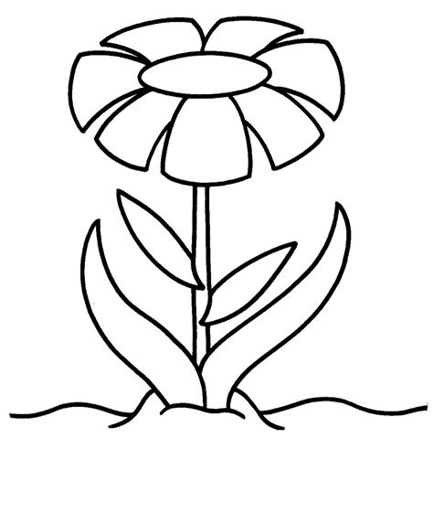 Plantillas De Flores Para Colorear
