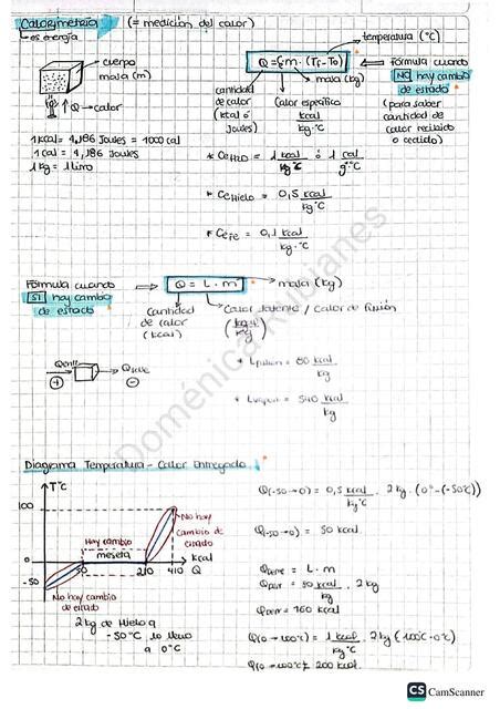 Calorimetría Doménica Rubianes Udocz