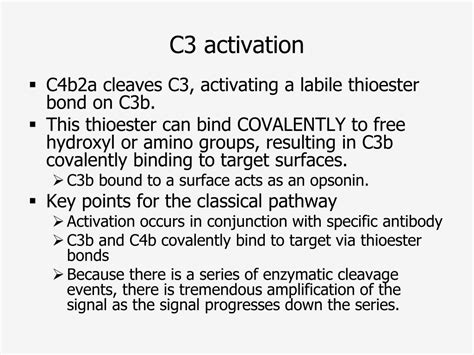 PPT The Complement System PowerPoint Presentation Free Download ID 2348392