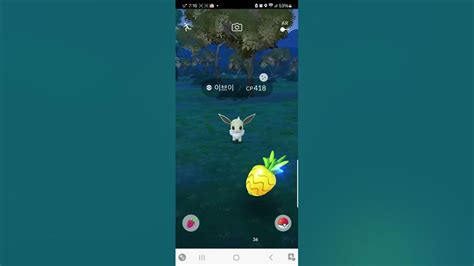 거북이1호의 포켓몬고 야생 포켓몬 이브이 다른색깔 황금색 이로치 잡기 Youtube