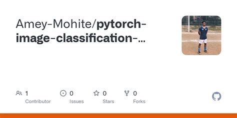 Github Amey Mohite Pytorch Image Classification Transfer Learning