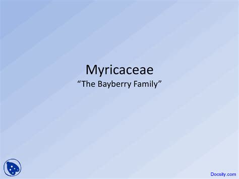 Myricaceae Plants Identifcation Lecture Slides Docsity
