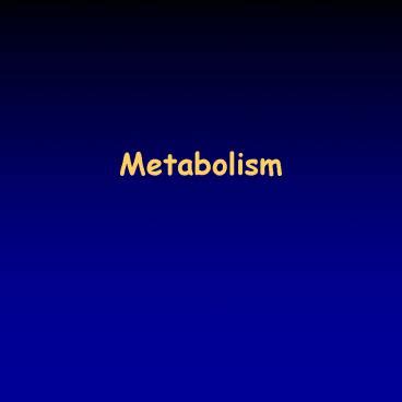Metabolism Presentation Free To View