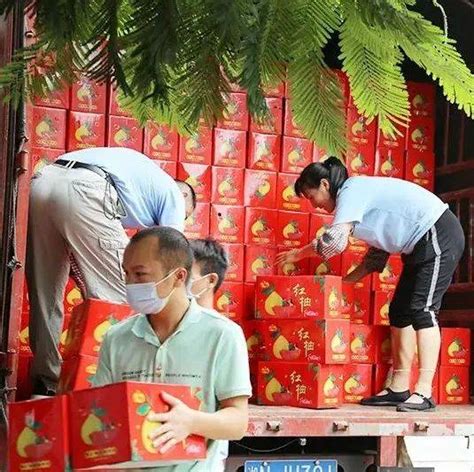 深联牌抗疫暖心大礼包已到达 员工 疫情 上海
