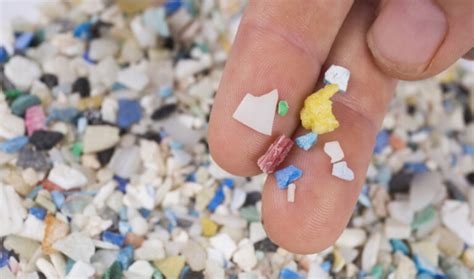 Contaminación Por Plásticos En El Océano ¿una Verdad Cómoda Pero Que