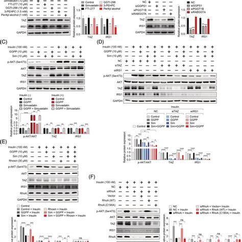 Geranylgeranyl Pyrophosphate Ggpp Depletion By Statins Inhibits