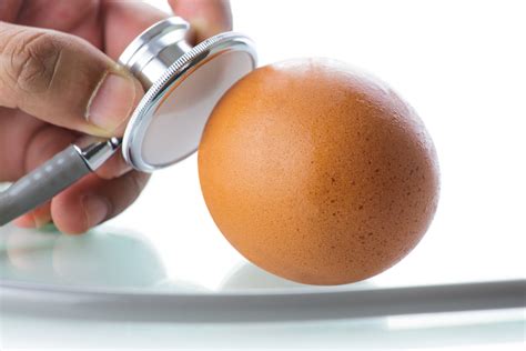 How To Improve Egg Quality The 3 Step 3 Month Plan Your Doctor Wont