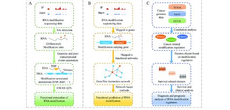 Functional Annotation And Prediction Of The Epitranscriptome A Download Scientific Diagram