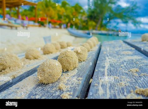 Krabben im sand durchsichtig Fotos und Bildmaterial in hoher Auflösung Alamy