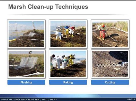 In Bp Oil Spill A Tale Of Two Gulfs How Bp Sees It Environment