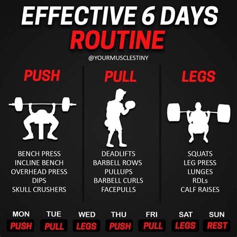 Push Pull Leg 6 Day Routine Push Pull Legs Workout Workout Plan Gym