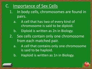 Chapter Section Notes PPT