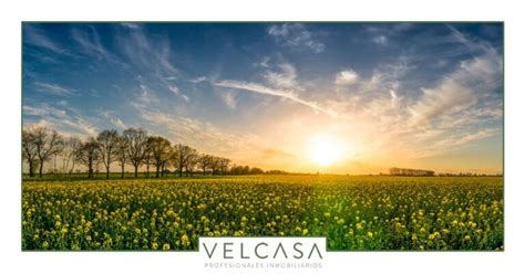 Diferencias entre suelo rústico y urbano que debes conocer VELCASA