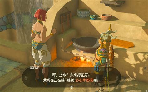 塞尔达：林克你在外面到底有几个达令 Allure Shadow Allure Shadow 哔哩哔哩视频