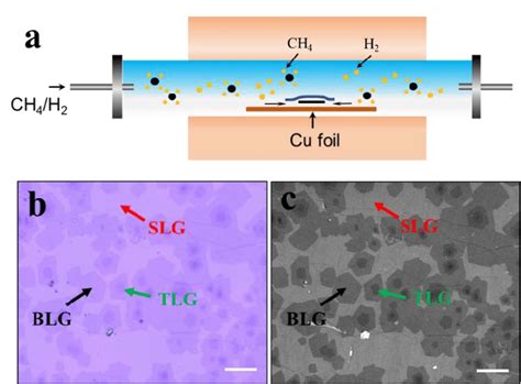 Optical And Sem Characterization Of The Cvd Grown Multilayer Graphene