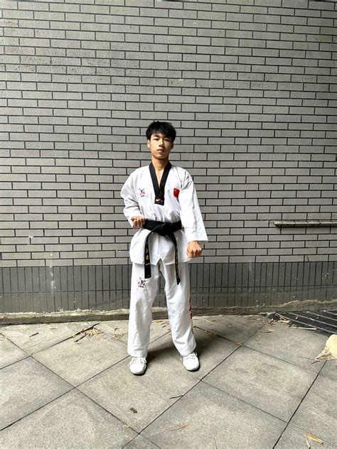 Low Block Object Detection Dataset By Taekwondo