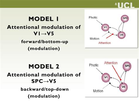 Ppt Dynamic Causal Modelling For Fmri Theory And Practice Powerpoint Presentation Id1848641