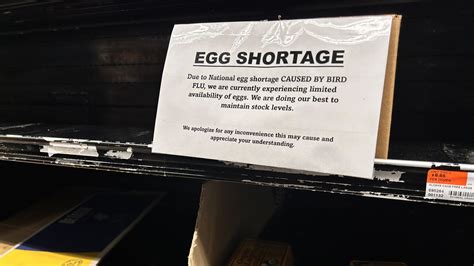 Egg Shortage 2025 Bird Flu Outbreak Drives Up Egg Prices Hits Supply