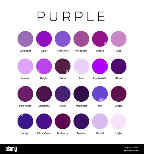 Purple Color Shades Swatches Palette With Names Stock Vector Image
