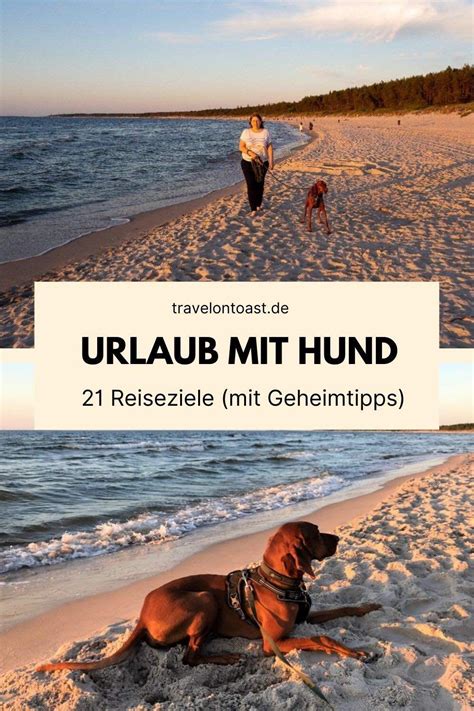 Urlaub Mit Hund 20 Tolle Reiseziele Mit Geheimtipps Artofit