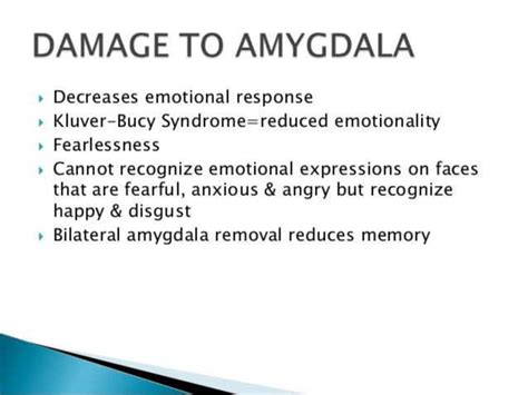 Approach To Temporal Lobe Ppt