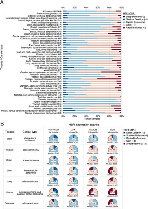 Copy Number Alteration Of Hsf1 Drives Hsf1 Expression In Cancers A