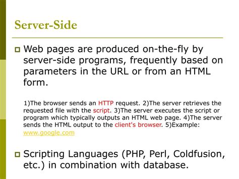 Ppt Dynamic Web Pages Flash Javascript Powerpoint Presentation