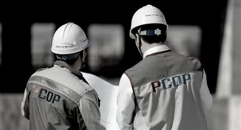 Бидний тухай Пи Си Ди Пи ХХК Үндэсний төслийн компани