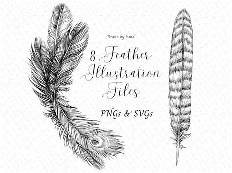 Feather Svg Feathers Svg Feather Clipart Feather Svgs Feather