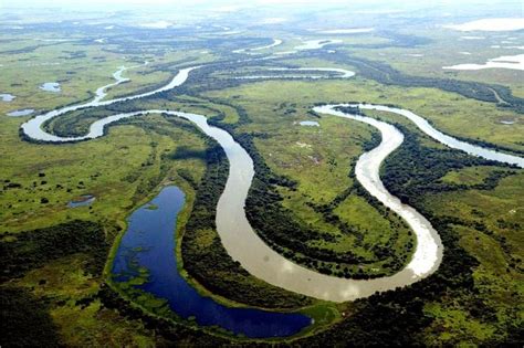 Pantanal The Worlds Largest Freshwater Wetland Amusing Planet