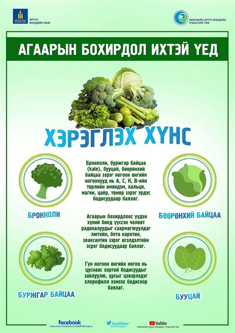 Агаарын бохирдол ихтэй үед дараах хүнсийг хэрэглээрэй