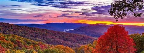 Why Choose Rcal Rcal Products