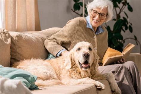 همه چیز درباره گربه‌ها مجله حیوانات خانگی پتسی