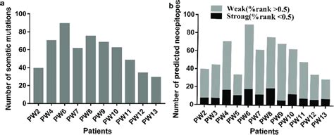 Number Of Somatic Mutations And Predicted Neoantigens In 10 Patients