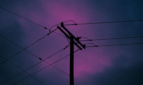 State Regulator Reviews Utility Pole Attachment Procedures