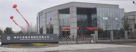 重庆市应急管理局局长到重庆红日康仁堂调研 脉脉
