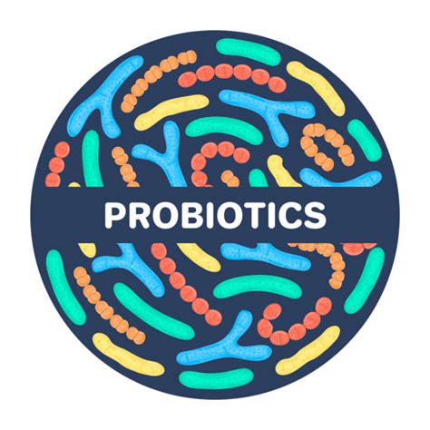 Best Microbiome Illustrations Royalty Free Vector Graphics And Clip Art