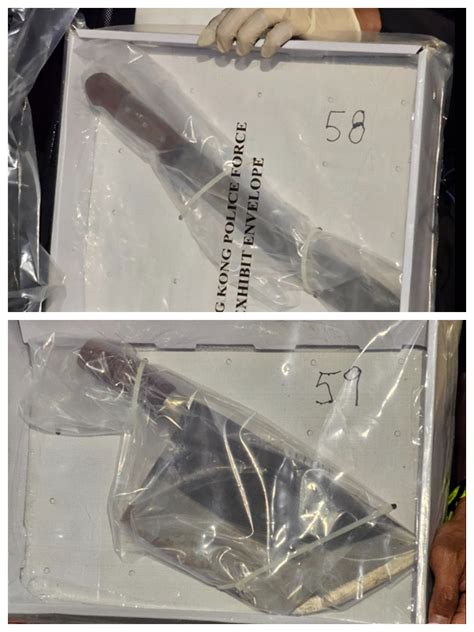 香港名媛蔡天凤遭肢解烹尸，警方披露碎尸细节，正全力追缉死者前夫腾讯新闻