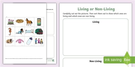 Living Or Non Living Sorting Activity Sheet Teacher Made