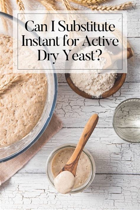 How To Activate Dry Yeast Easy Steps To Activate Dry Yeast
