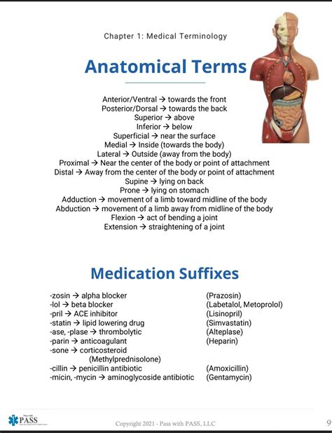 Hesi A2 Anatomy And Physiology Artofit