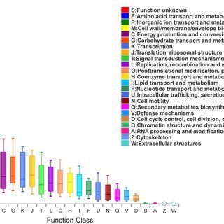 COG Cluster Of Orthologous Groups Function Classification Statistics