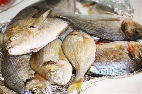 Безплатна снимка море костур Морска храна сардина Прованс