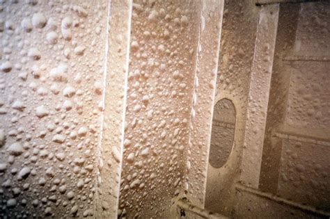 Coating Surface Defects At Thomas Castro Blog