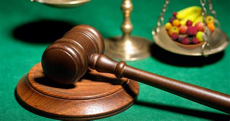 Livro aborda temas polêmicos sobre alimentos no Código Civil Editora