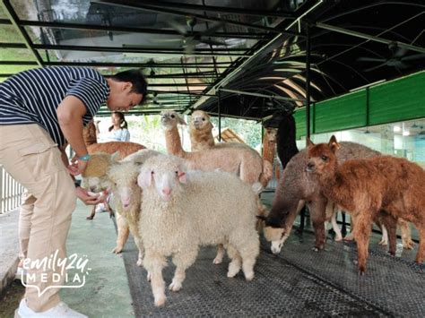 Zahara Garden Gopengs Latest Gem For Nature Lovers From Emily To You