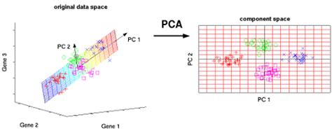 How To Use PCA To Detect Outliers Cross Validated