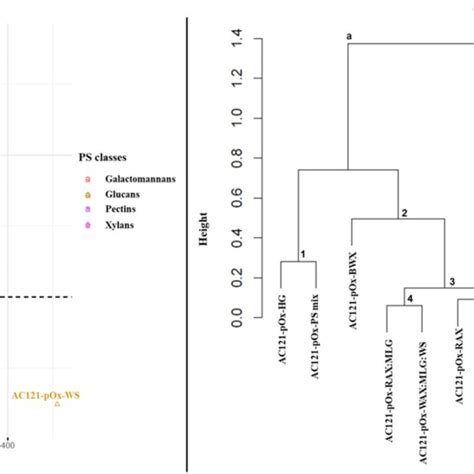 A Principal Component Analysis Pca Biplot And B Hierarchical Download Scientific Diagram